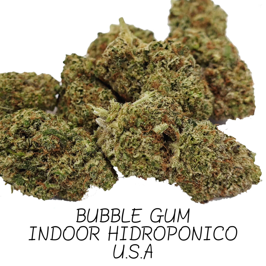 The Magic - CBD online - Envios a España y portugal